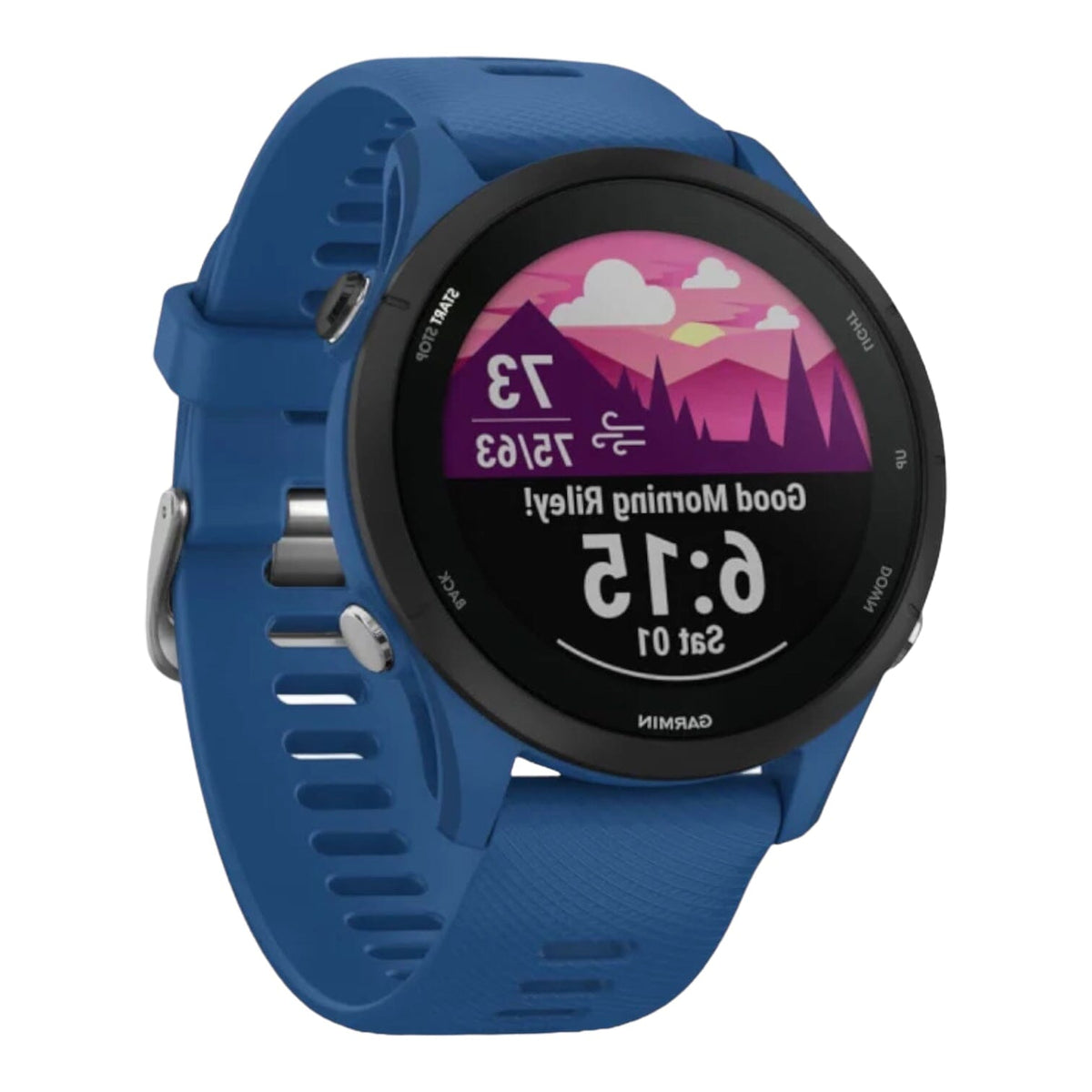 Garmin Forerunner 255 Watch Straps NZ, Bands and Chargers (010-02641-1 ...